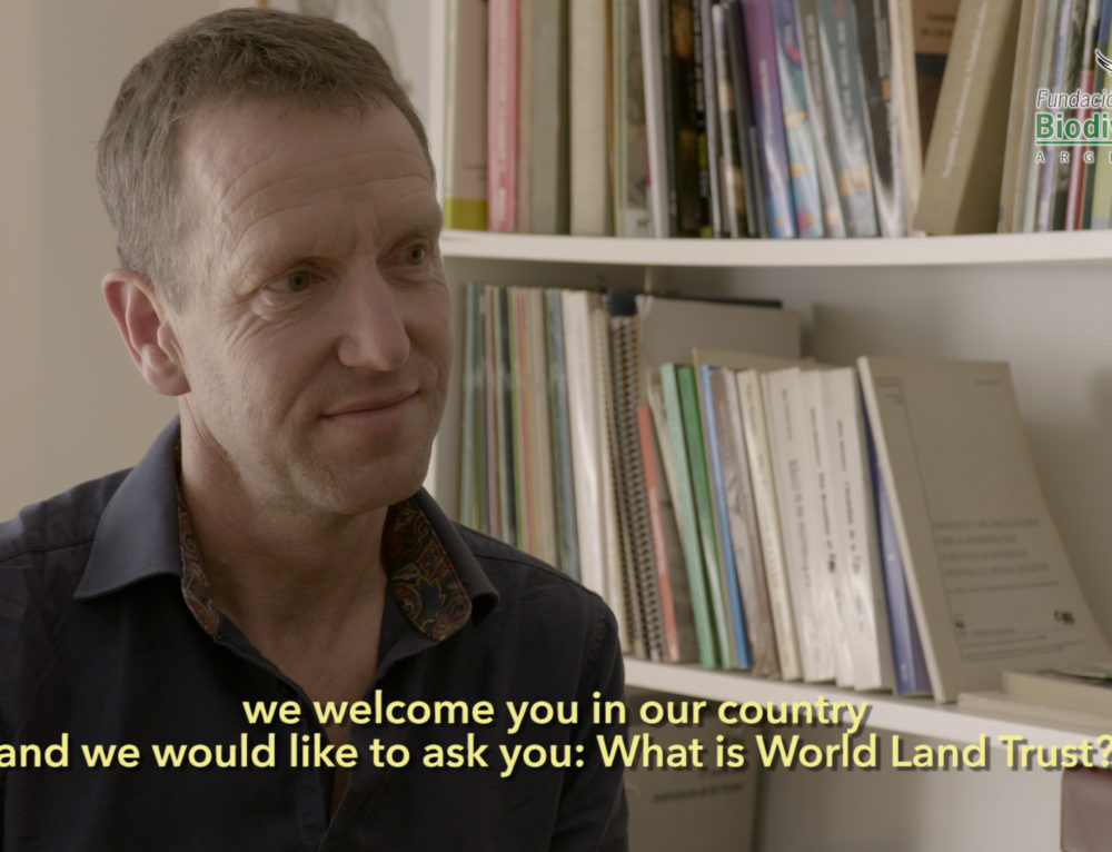 Los murciélagos y el radar, una historia de naturaleza y tecnología ...